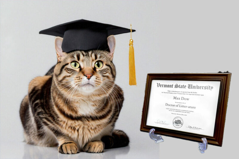 Max the cat was awarded a doctorate - Newsforkidz